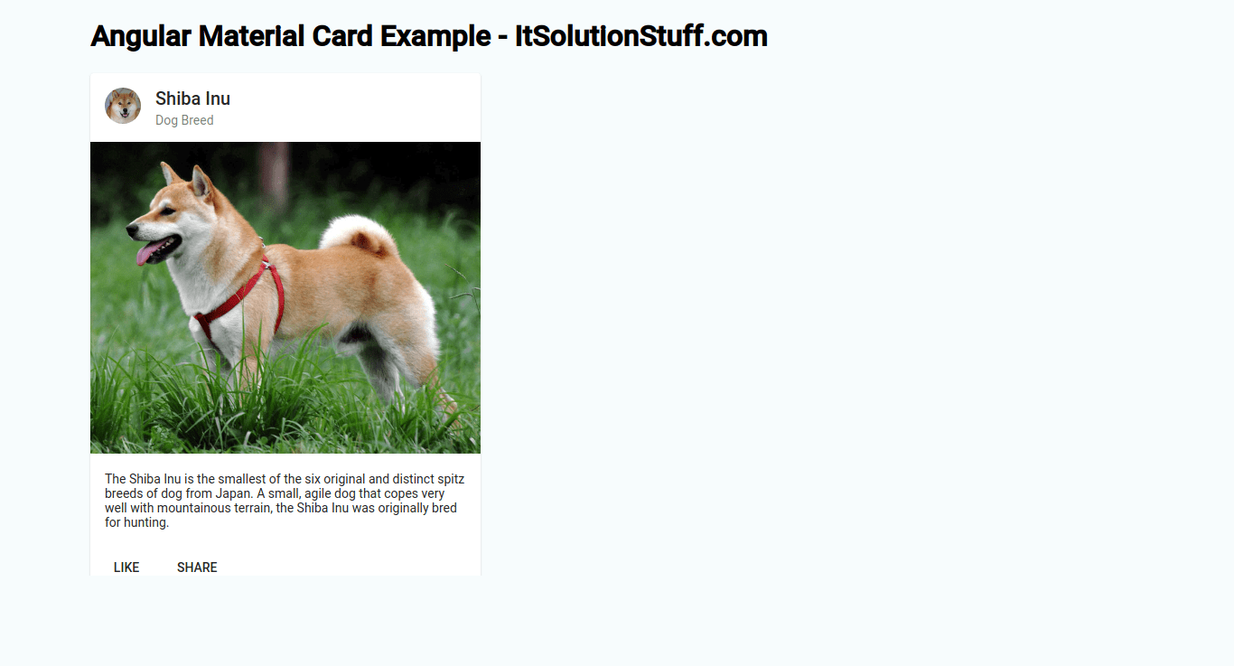Angular Material Card Example Angular Mat card ItSolutionStuff